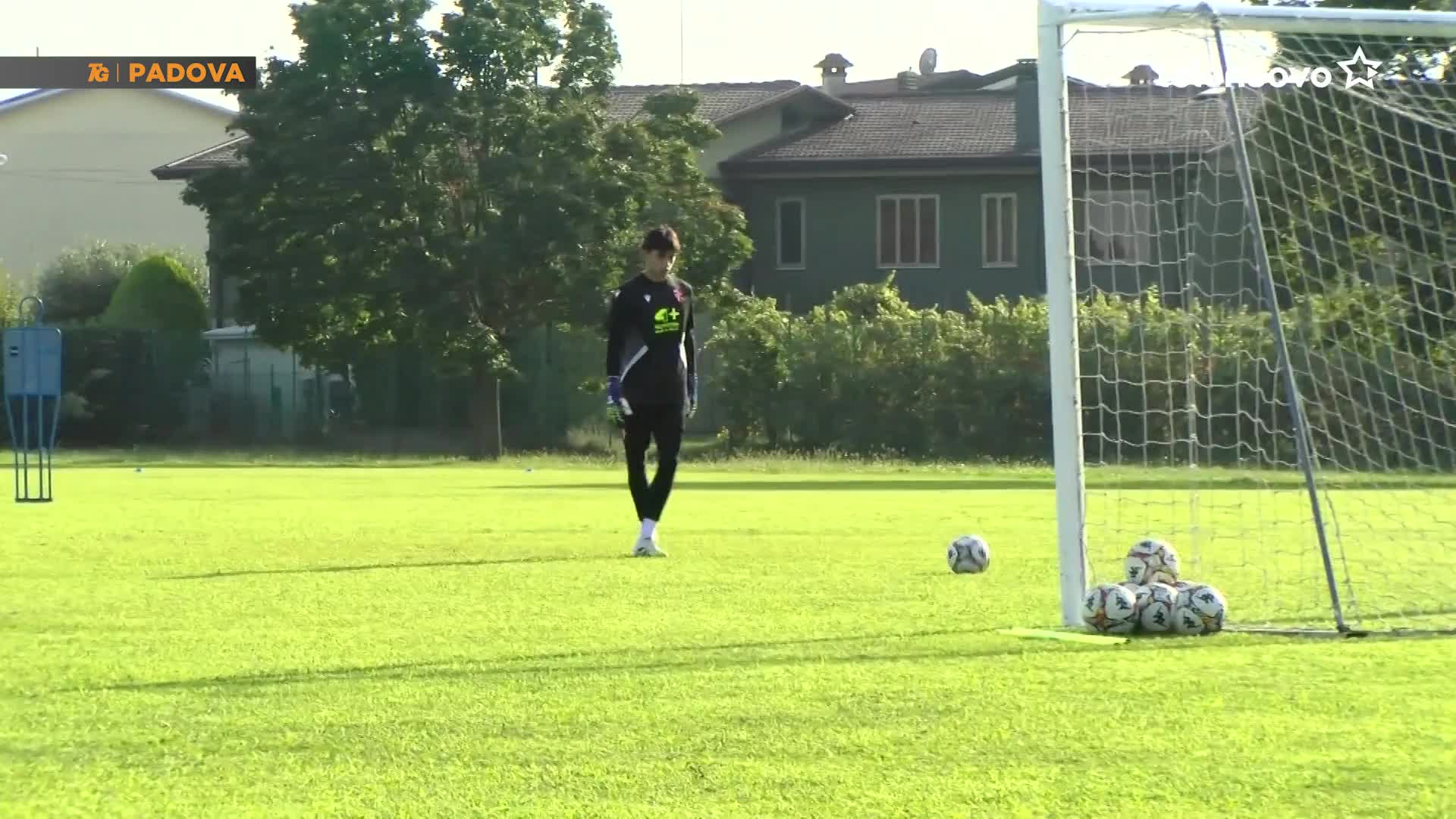 VIDEO | Mouquet o Zacchi: il Padova cerca il vice-Fortin. La situazione ...